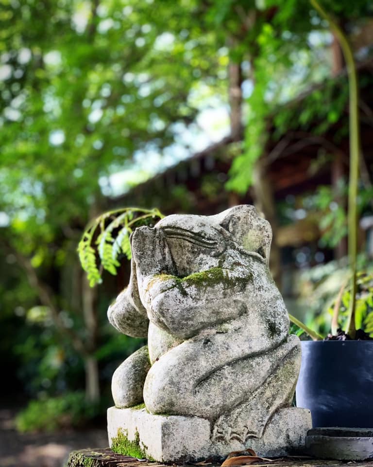 kaeru | 株式会社GA設計事務所